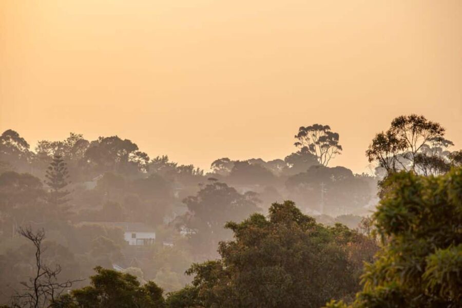 FZ BAL Ratings | Perth Homeguard